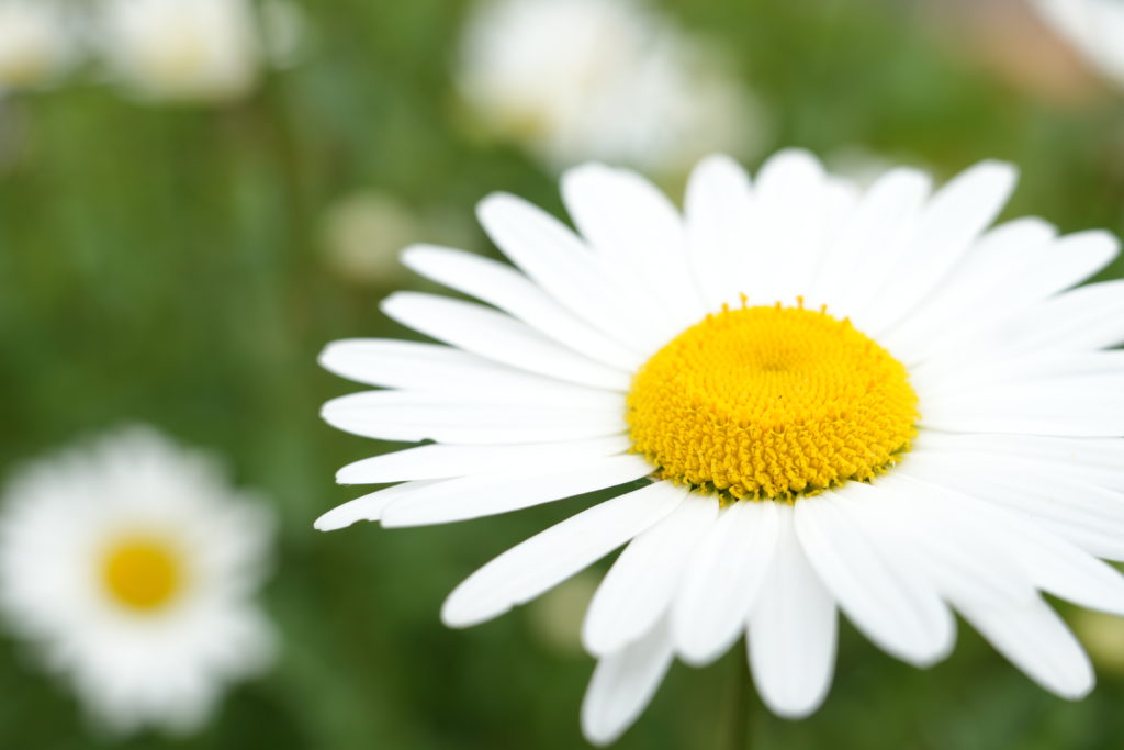 AKSK Studio. – 岩手・北三陸の情報発信はAKSKにお任せを