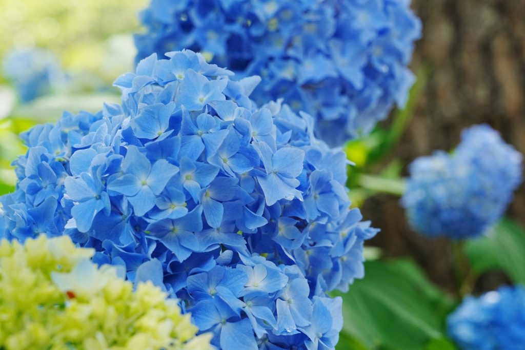 AKSK Studio. – 岩手・北三陸の情報発信はAKSKにお任せを